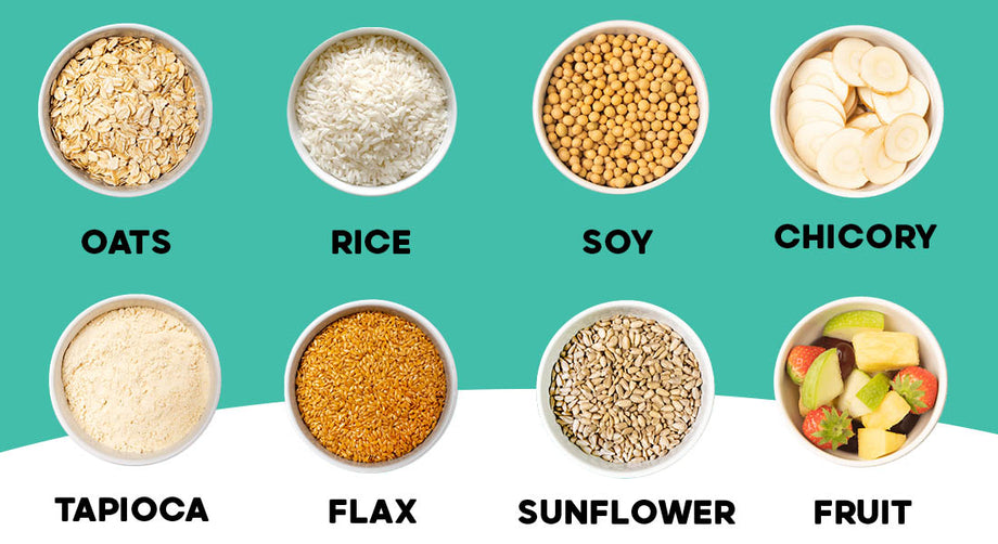 Plenny Shake v3.0 - Nutritionally Complete Meal Shake – Jimmy Joy